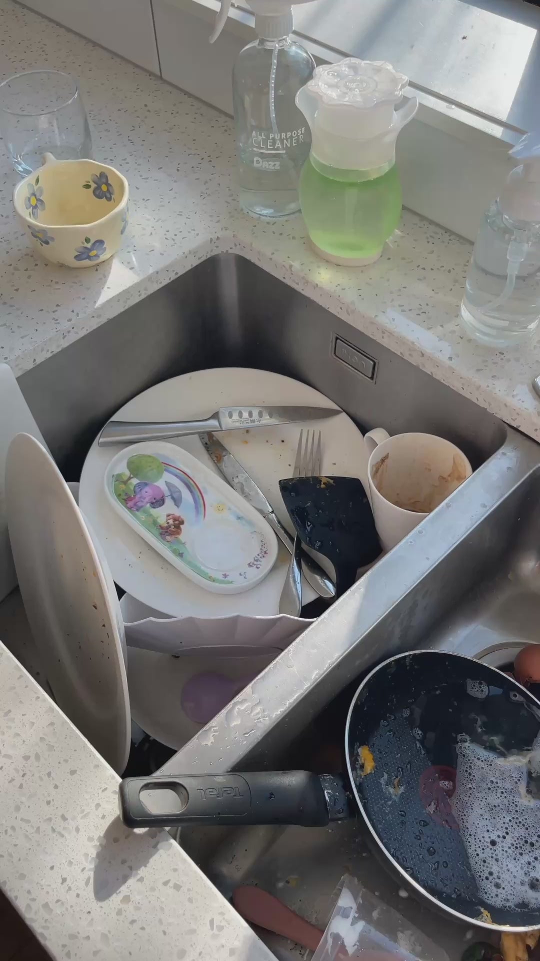 Dish Daddy Complete Setup – CleanPost NZ