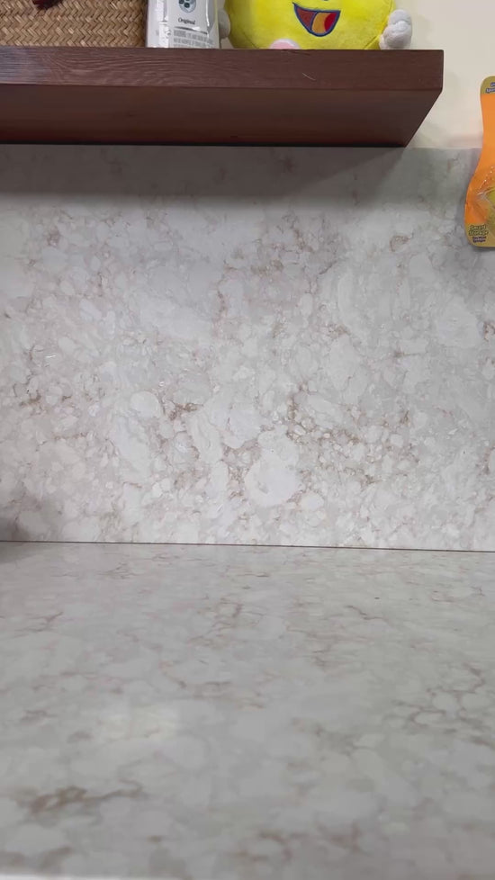 Dish Daddy Complete Setup – CleanPost NZ